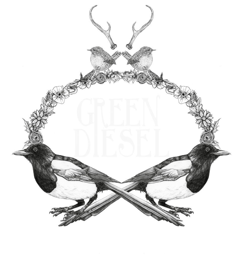 Green Diesel | Green Diesel Folk Band